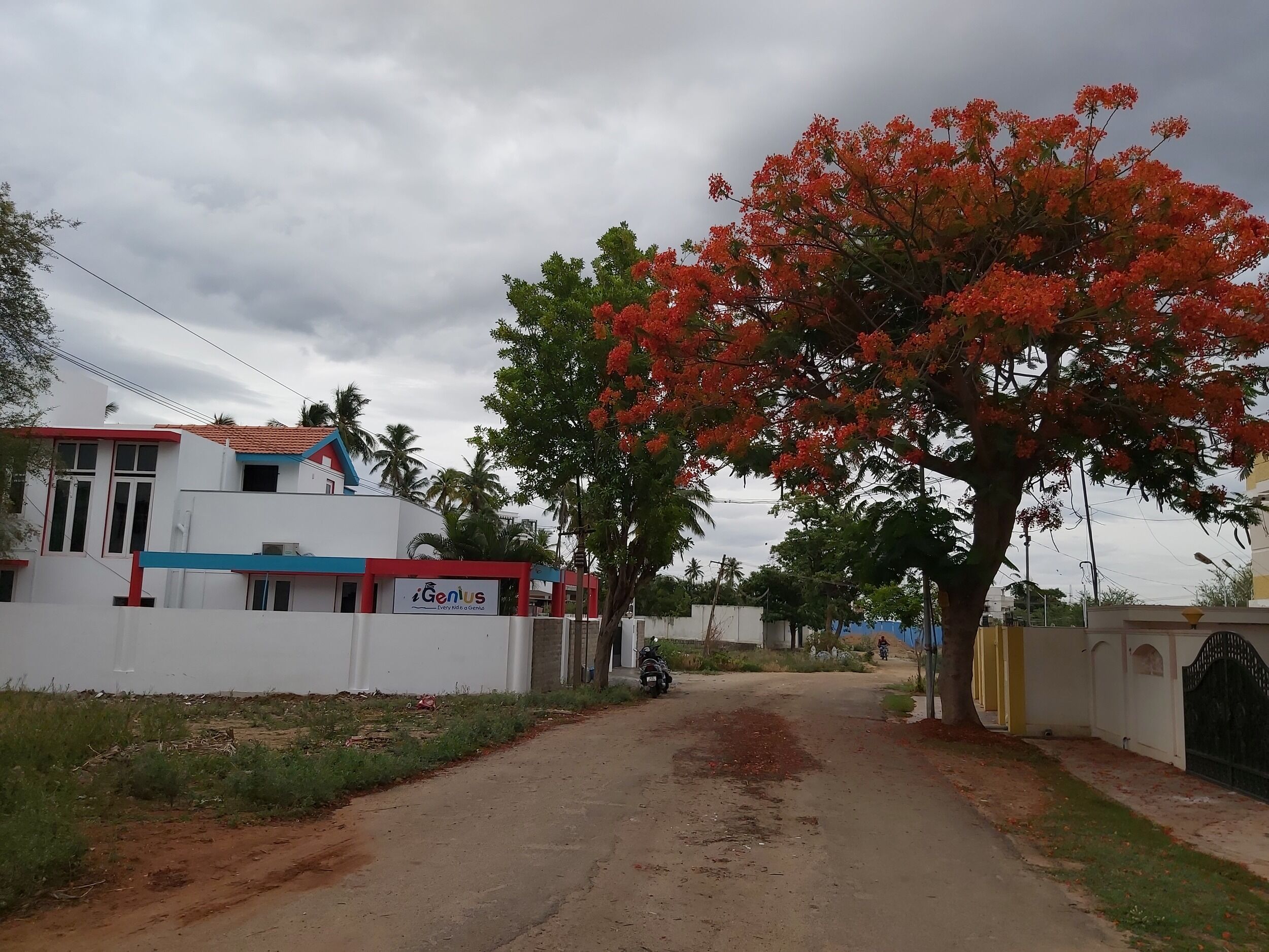 Gallery – School Premises – iGenius Kids